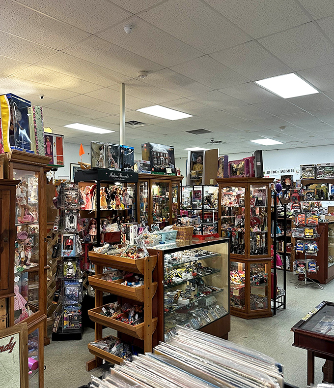 Every collector's dream &ndash; meticulously organized display cases housing everything from action figures to vintage collectibles that transport you straight back to Saturday morning cartoons.