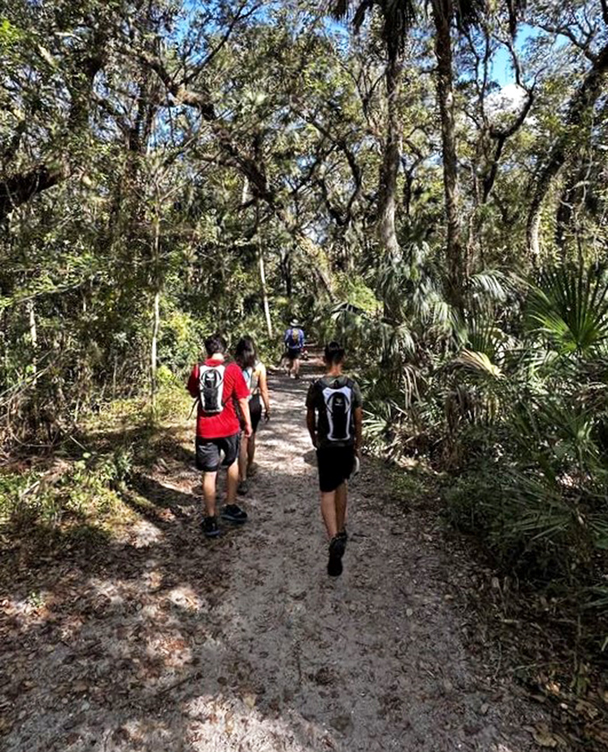 Florida's hiking trails: where you can simultaneously feel like an explorer and wonder if something is quietly exploring you.