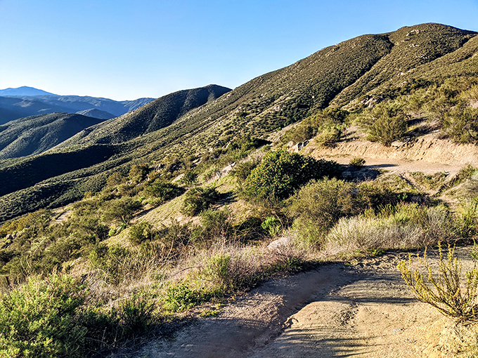 The trail promises what every good relationship should: stunning views, occasional challenges, and the satisfaction of earning something beautiful.