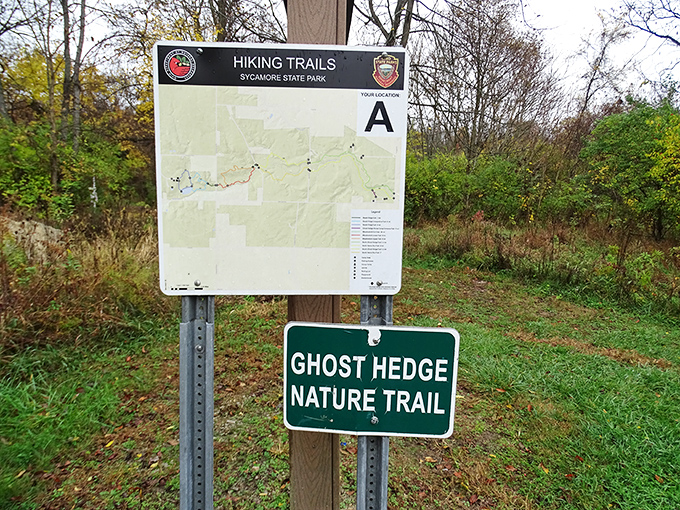 The Ghost Hedge Nature Trail beckons with a name mysterious enough to intrigue both history buffs and supernatural enthusiasts alike.