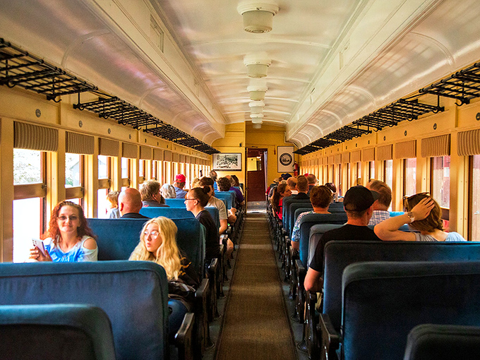 Time travel doesn't require a DeLorean&mdash;just a ticket on these vintage coaches where comfortable blue seats and large windows transform ordinary Tuesday afternoons into extraordinary adventures.