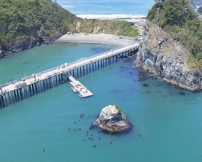 Trinidad's pier stretches into impossibly turquoise waters, a wooden runway connecting land-dwellers to the rhythms of the Pacific and its resident sea lions.