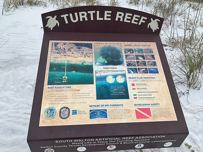 Underwater adventure awaits: The Turtle Reef information board&mdash;where marine biology meets treasure map, proving education is more fun when there's a chance to spot a sea turtle.