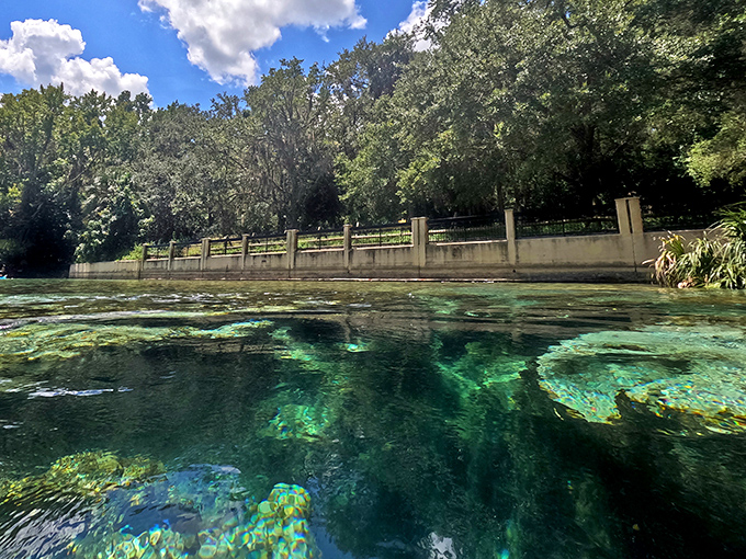 Underwater limestone formations create a natural mosaic that's been millions of years in the making. Mother Nature's most impressive tile work.