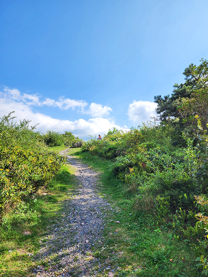 A path less traveled means more beauty for you. This trail corridor offers a perfect balance of accessibility and wilderness.