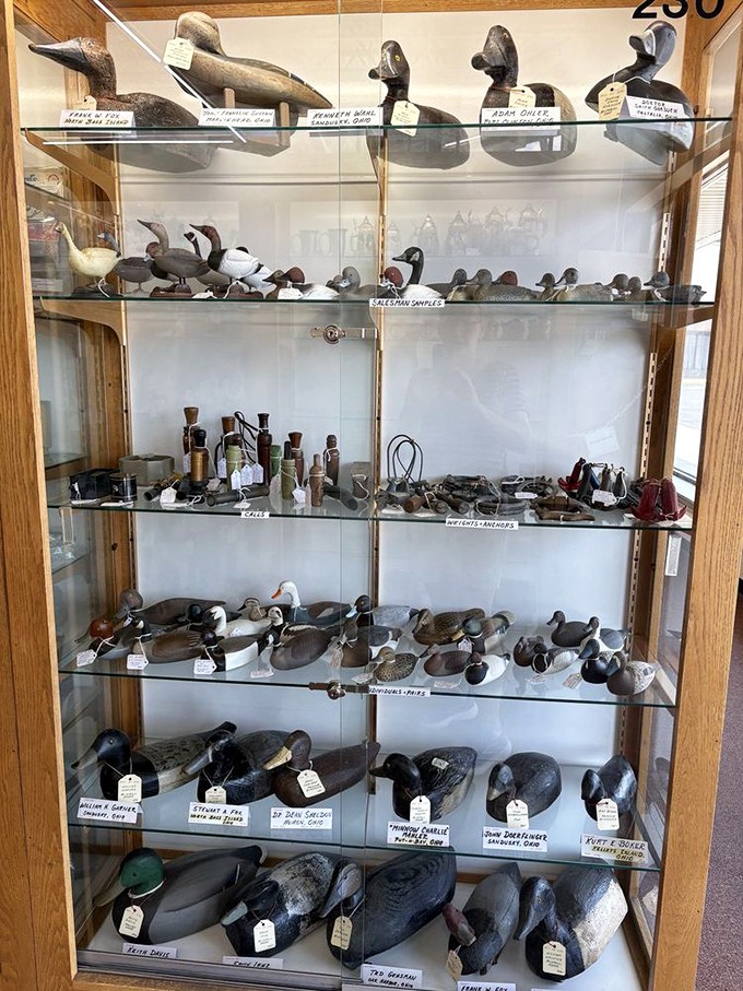 This impressive array of vintage duck decoys represents functional folk art from America's hunting traditions. Each has its own character and history.