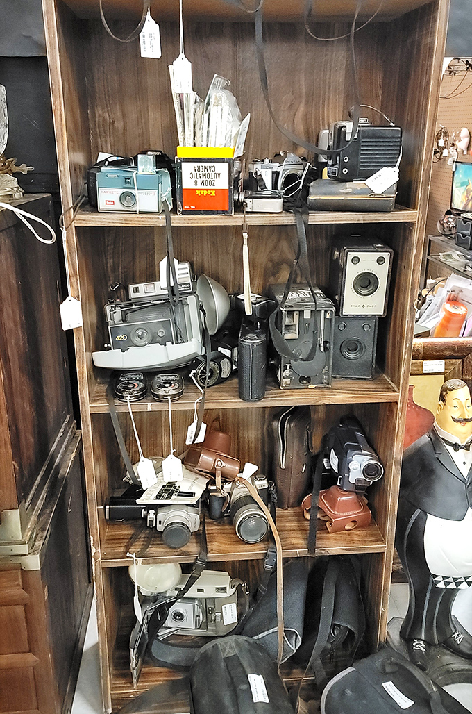 These vintage cameras captured more memories than your smartphone ever will, guaranteed no selfies.