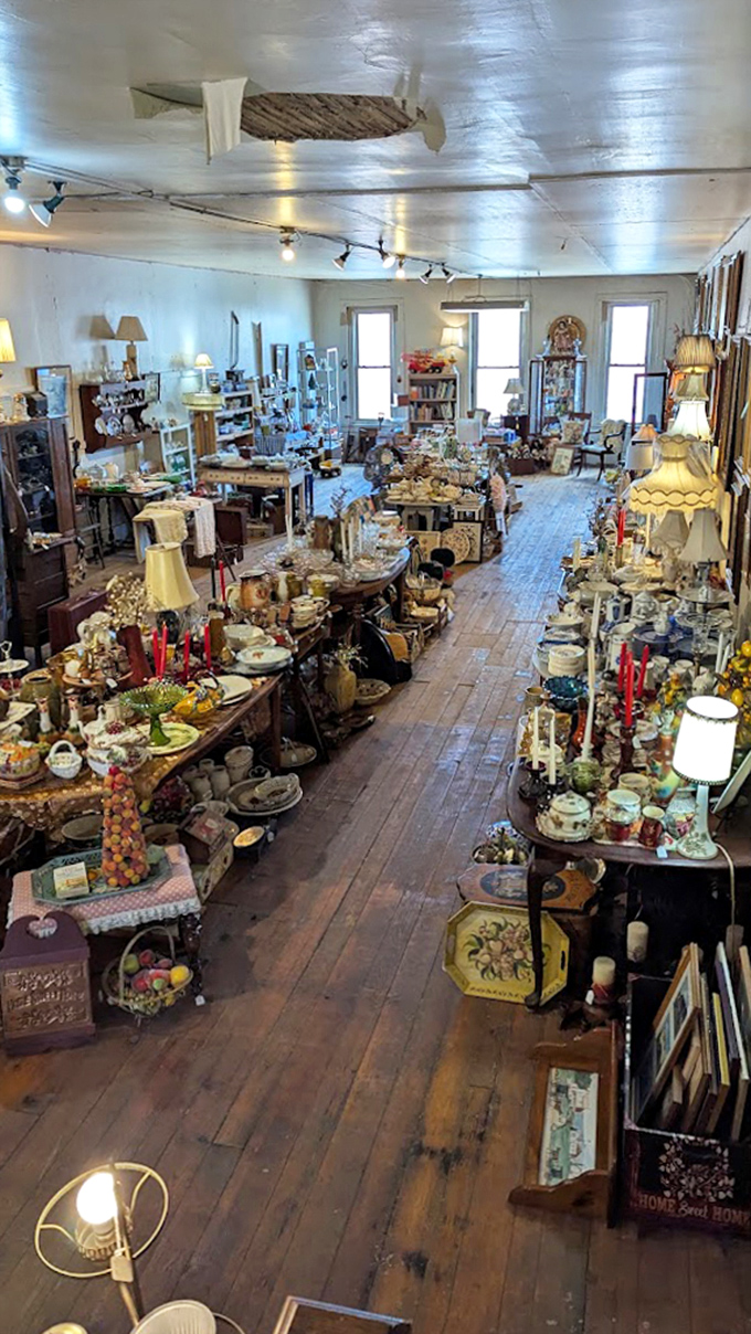 Time travel isn't science fiction here—it's what happens when you wander through aisles of lamps that witnessed decades of family dinners and bedtime stories.