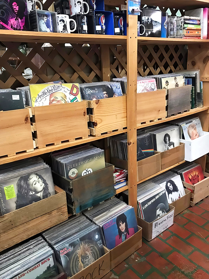Vinyl heaven! From Fleetwood Mac to Queen, these wooden crates hold the soundtrack of generations. Your next nostalgic journey is just a flip away.