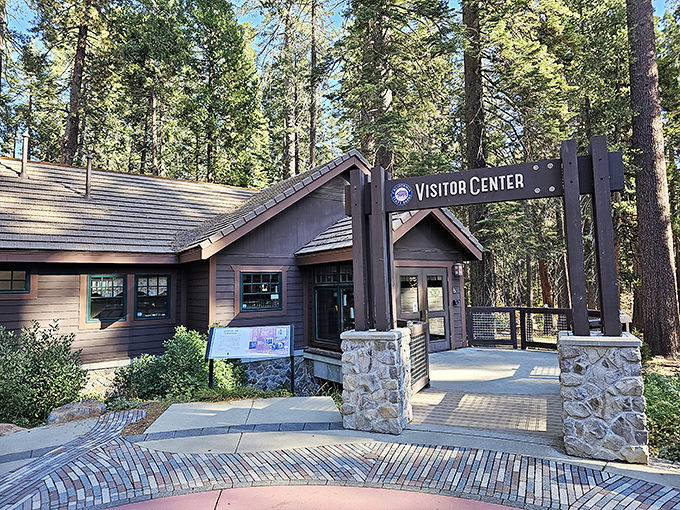 The visitor center blends into the forest so perfectly, even the squirrels think it grew there naturally.