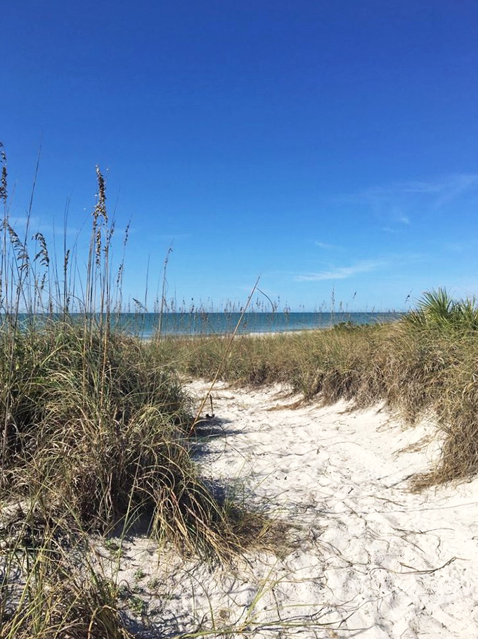 Nature's red carpet: This sandy pathway through sea oats leads to the main attraction&mdash;an ocean view worth every step of the journey.