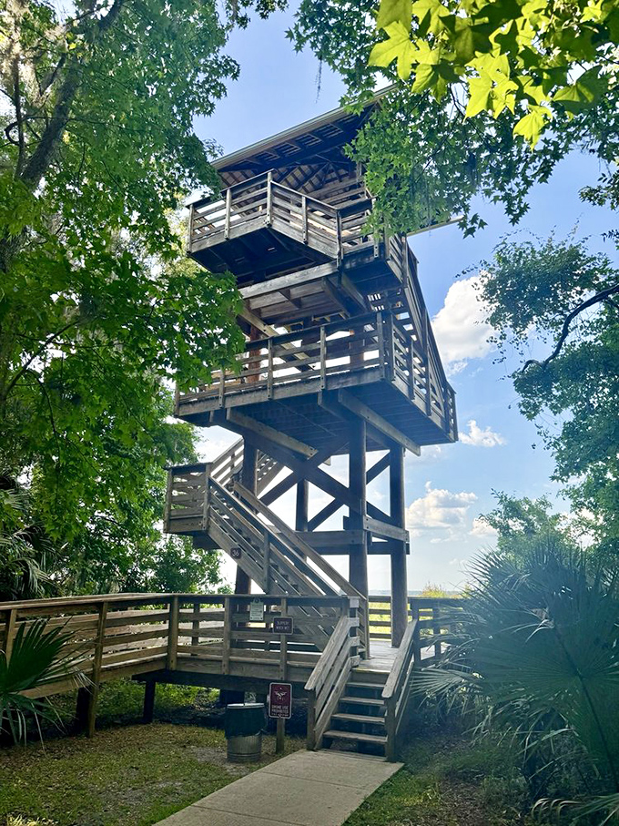 Climb this tower and suddenly you're the king of the prairie, surveying your wild kingdom below.