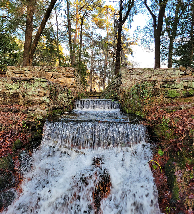 CCC craftsmen built this stone spillway in the 1930s. Ninety years later, it still makes professional waterfall photographers weep with joy. 