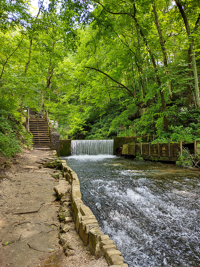Where water meets wilderness &ndash; this cascading waterfall creates nature's perfect soundtrack for your woodland adventure.
