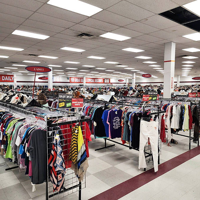 Endless racks stretching toward the fluorescent horizon. The clothing section alone could outfit a small Tennessee town for years.