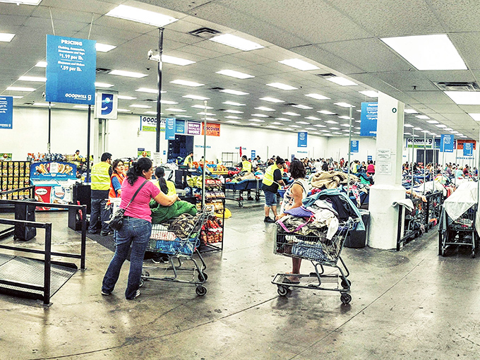 Where shopping carts become treasure chests on wheels. The fluorescent lighting may not be glamorous, but the deals beneath it certainly are.