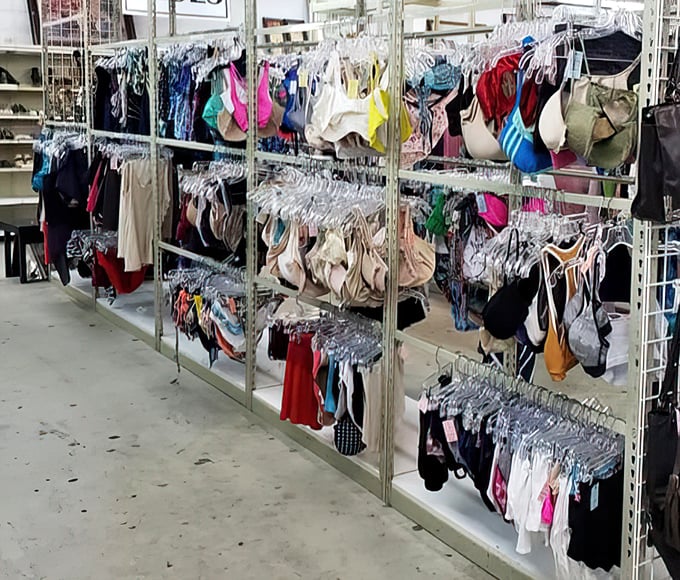 Undergarments organized with military precision&mdash;because even thrift store shopping deserves dignity. Marie Kondo would approve of this lingerie lineup.