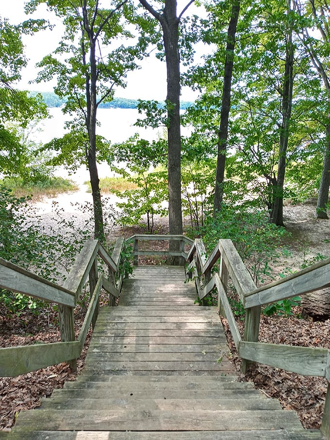 Stairway to heaven? Almost. These wooden steps lead from forest to shoreline, nature's perfect transition zone.