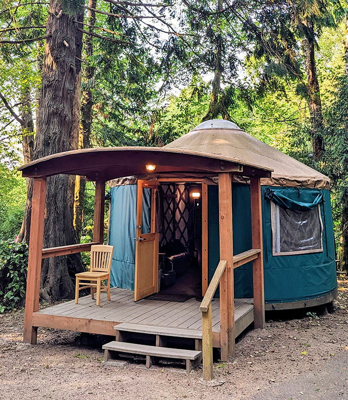 Glamping goals achieved! These cozy yurts bring just enough civilization to the wilderness—like camping with a promotion.