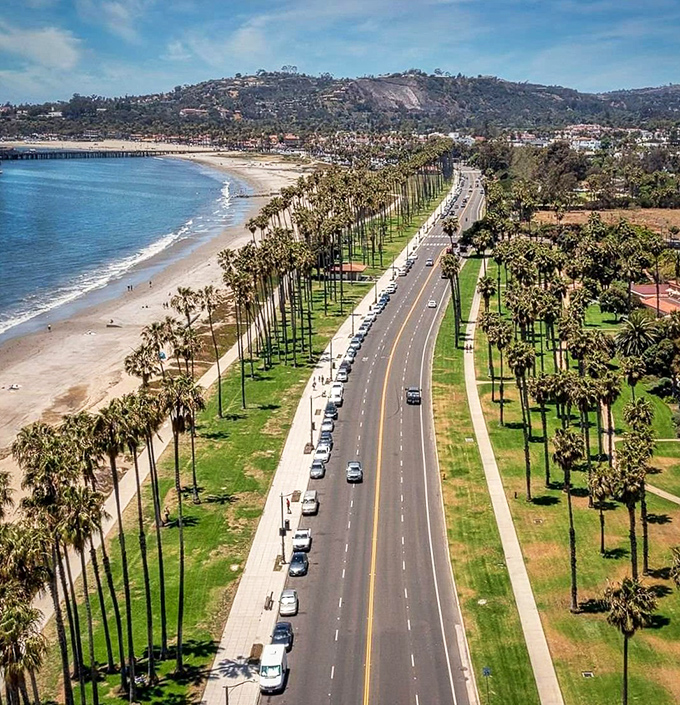 Cabrillo Boulevard's palm-lined perfection stretches along the coast like nature's red carpet. The ultimate Sunday drive with ocean on one side, mountains on the other.
