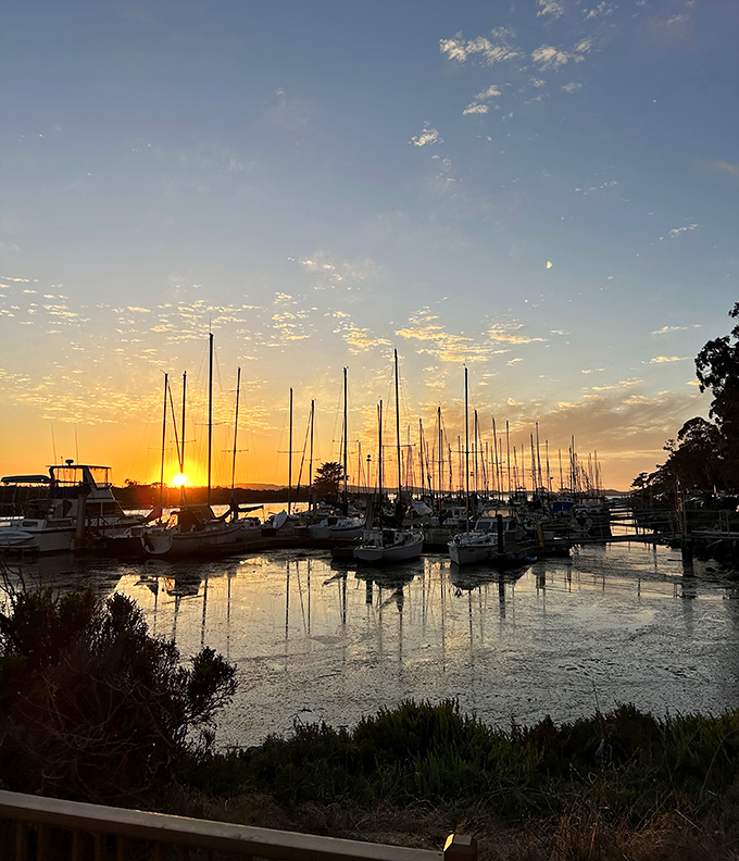 Sailboats dance with golden light as the sun bids farewell, turning the marina into a masterpiece worthy of a gallery wall.