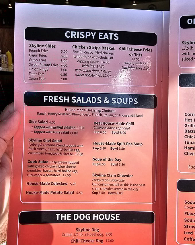 The menu doesn't need fancy descriptions when the food speaks this loudly. Simple, straightforward, and utterly mouthwatering options await.