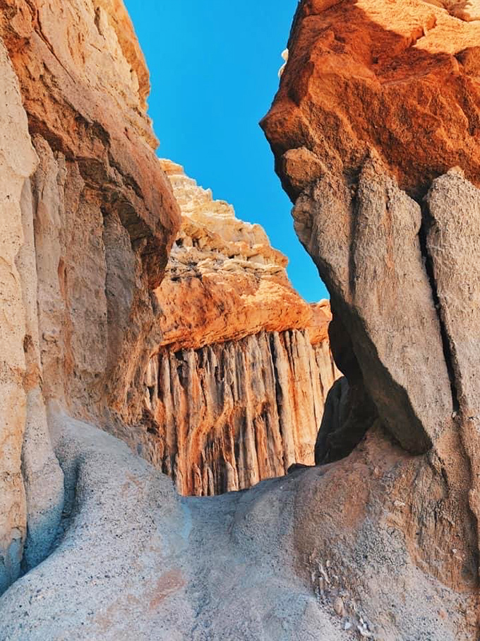 The desert's version of a cathedral. Standing between these towering formations makes you feel simultaneously tiny and part of something magnificently ancient.
