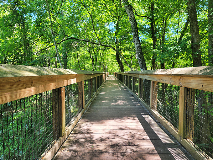 The wooden boardwalk leads to liquid paradise where stress dissolves faster than sugar.