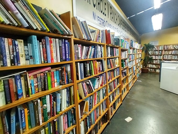 A bibliophile's dream where literary treasures await adoption. Like dating in your 50s, these books come with history, character, and surprisingly intact spines.