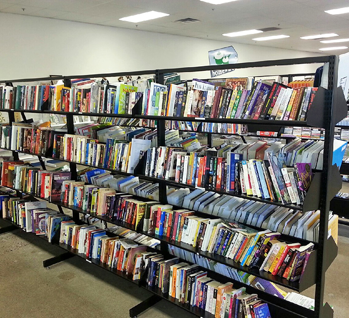 The book section rivals small-town libraries, offering literary journeys for less than the price of a fancy coffee.