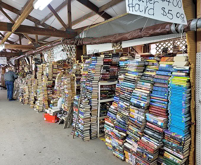 Book lovers beware—you might need to cancel your afternoon plans. These towering literary labyrinths could keep you happily lost for hours.