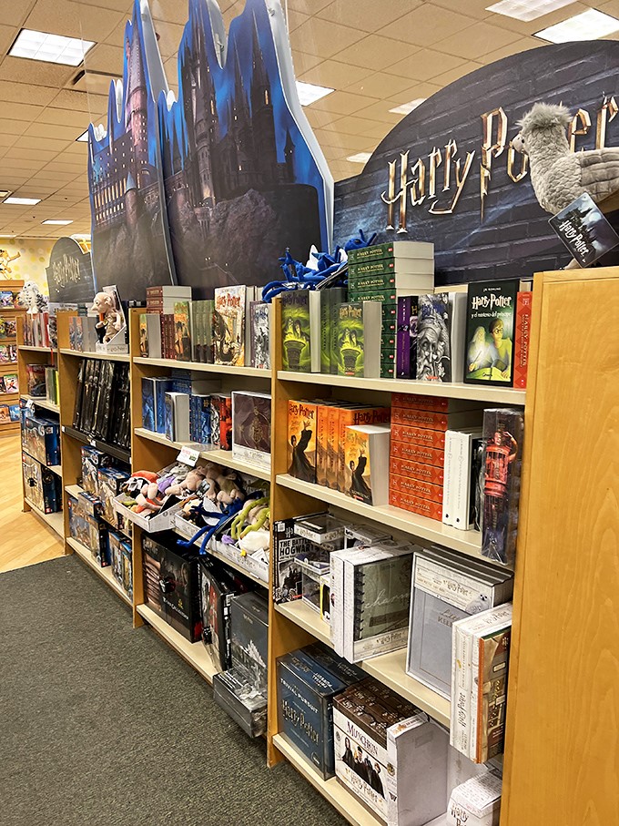 Hogwarts for bibliophiles on a budget! This magical Harry Potter display proves secondhand bookstores are where literature and fandom collide in affordable harmony.
