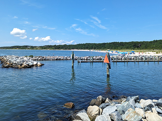 The boat launch area offers pristine waters and enough space to avoid that awkward "sorry, didn't mean to splash you" moment with strangers.