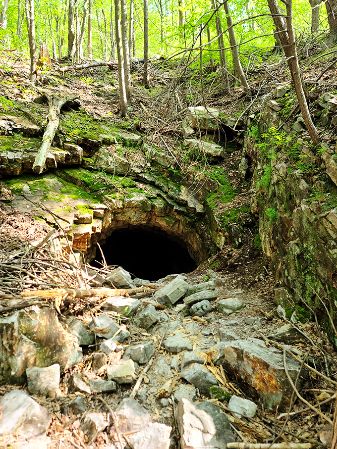 Mother Nature's original basement entrance. This limestone cave mouth reveals where the park's namesake spring begins its journey to daylight.