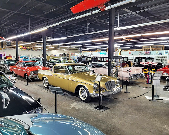 Golden-hued classics line up like celebrities on a vintage red carpet, each with stories to tell and curves that would make a modern designer weep with envy.