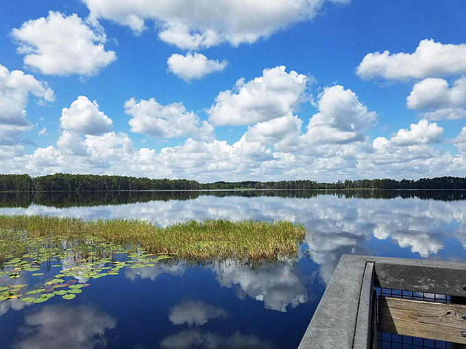 Cloud-watching gets a double feature at Lake Louisa, where the sky's drama is perfectly mirrored in waters so still they seem arranged by a Hollywood set designer.