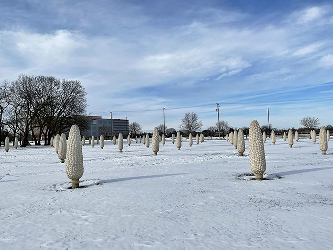Winter transforms the Field of Corn into something magical&mdash;like frozen vegetable astronauts waiting patiently on a snow-covered launchpad.