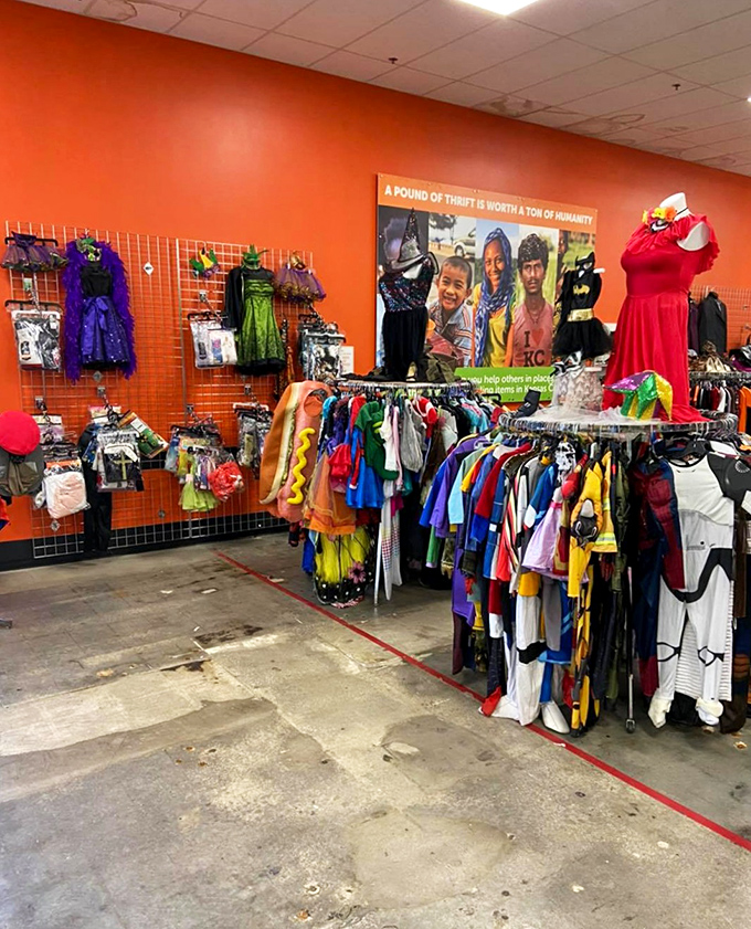 Halloween never dies at Buy The Pound, where costume dreams come alive year-round against a backdrop of fiery orange walls.