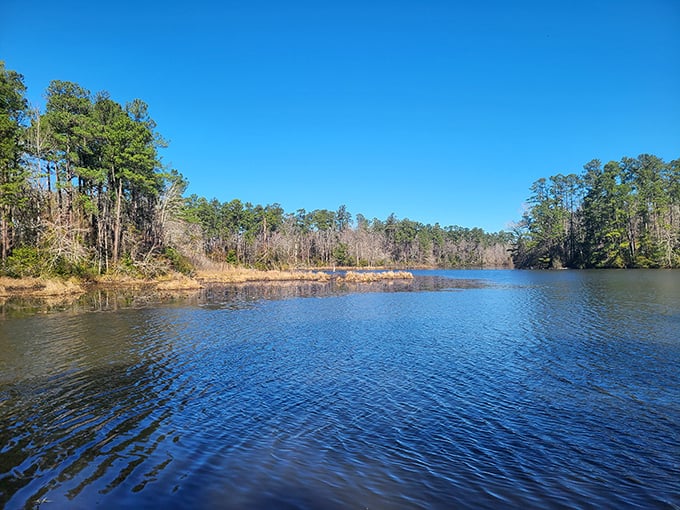 Mirror-like waters reflect the Carolina sky so perfectly you might forget which way is up. Nature's own infinity pool.