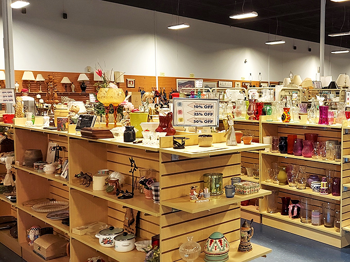 The housewares section gleams with potential heirlooms and conversation pieces, each shelf a time capsule of American domestic life.