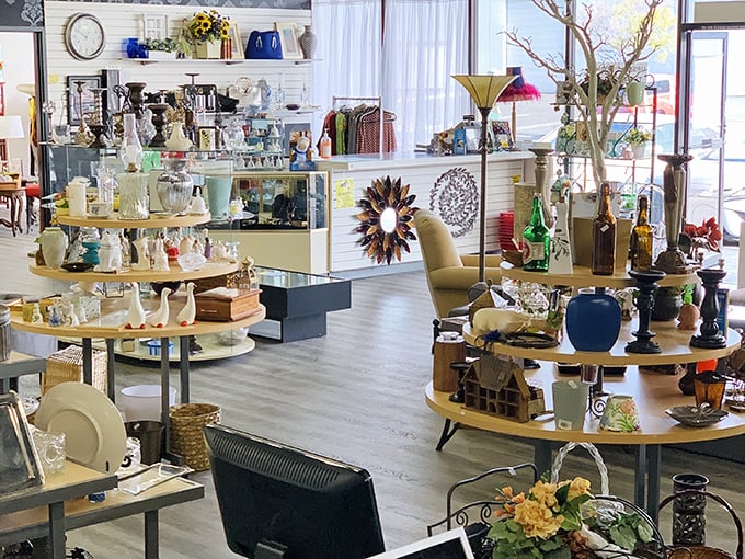 Curated displays that make "secondhand" feel like "second-to-none." Each shelf tells a different story waiting for a new chapter.