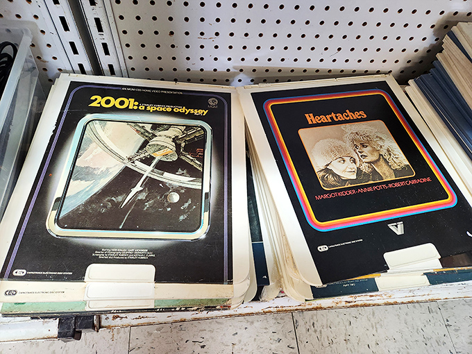 Vinyl treasures await crate-diggers! These albums survived disco, grunge, and digital streaming to find their forever home with a new generation.