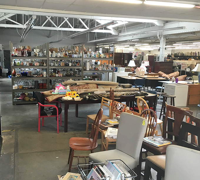 Those towering shelves packed with mysteries remind you why treasure hunting never gets old.