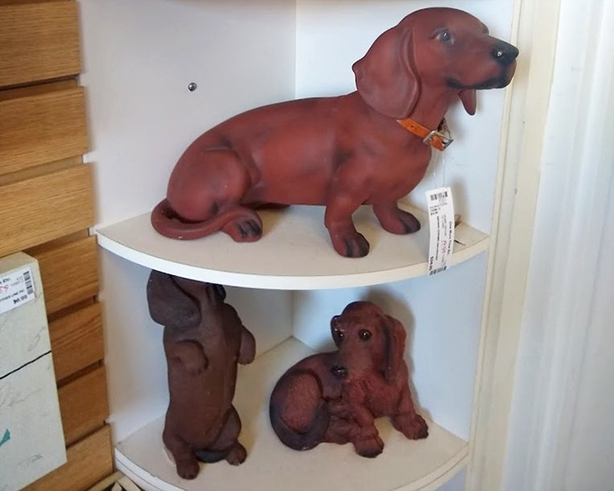 The dachshund dynasty! These ceramic pups have found temporary shelter on this shelf while awaiting adoption into someone's quirky collection.