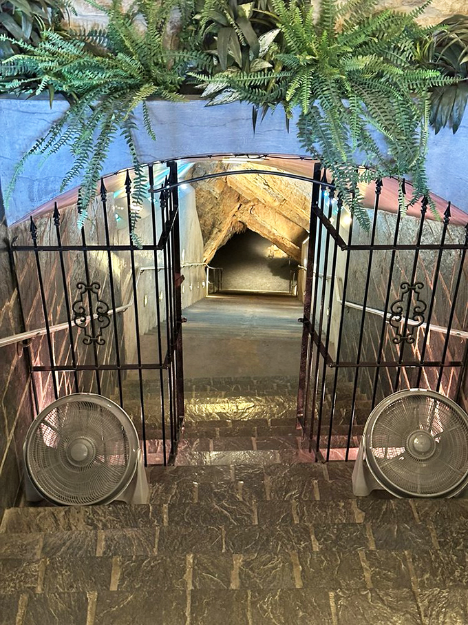 The gateway to another world. These ornate iron gates mark the transition from ordinary to extraordinary beneath Virginia's rolling hills.