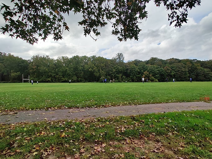 Where friendly weekend warriors battle nothing more serious than their own fitness trackers. Delaware's version of stadium seating.