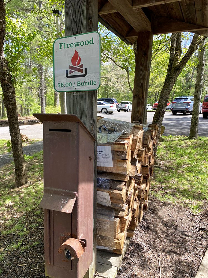 Six dollars for a bundle of memories? That's the best deal in Virginia. Nothing beats stories told around a crackling campfire.