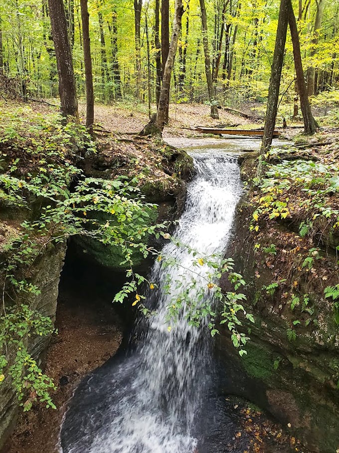 Who needs a fancy spa when Mother Nature provides her own version? This woodland waterfall creates the soundtrack to your perfect forest escape.