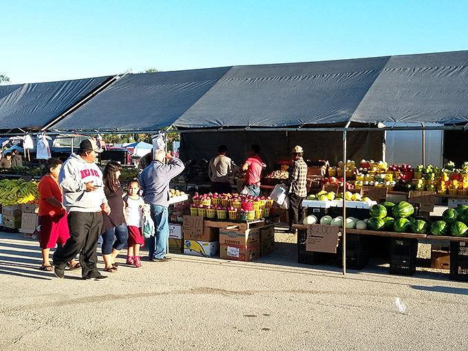 Florida's agricultural bounty shines at produce stands where watermelons bigger than bowling balls cost less than a fancy coffee.