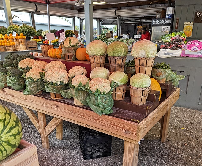 Farm-to-table isn't just a restaurant trend here. These vibrant cabbages and cauliflower were likely in the ground yesterday, on your dinner table tonight.